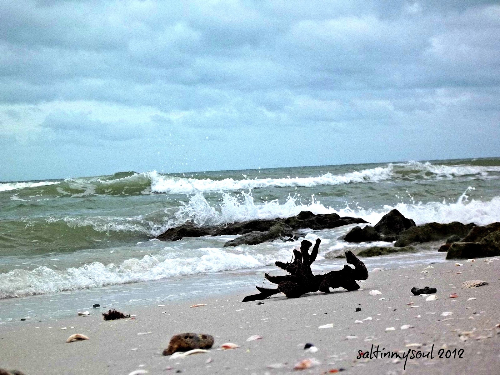 Salt In My Soul: During Issac Walk-well, sort of...