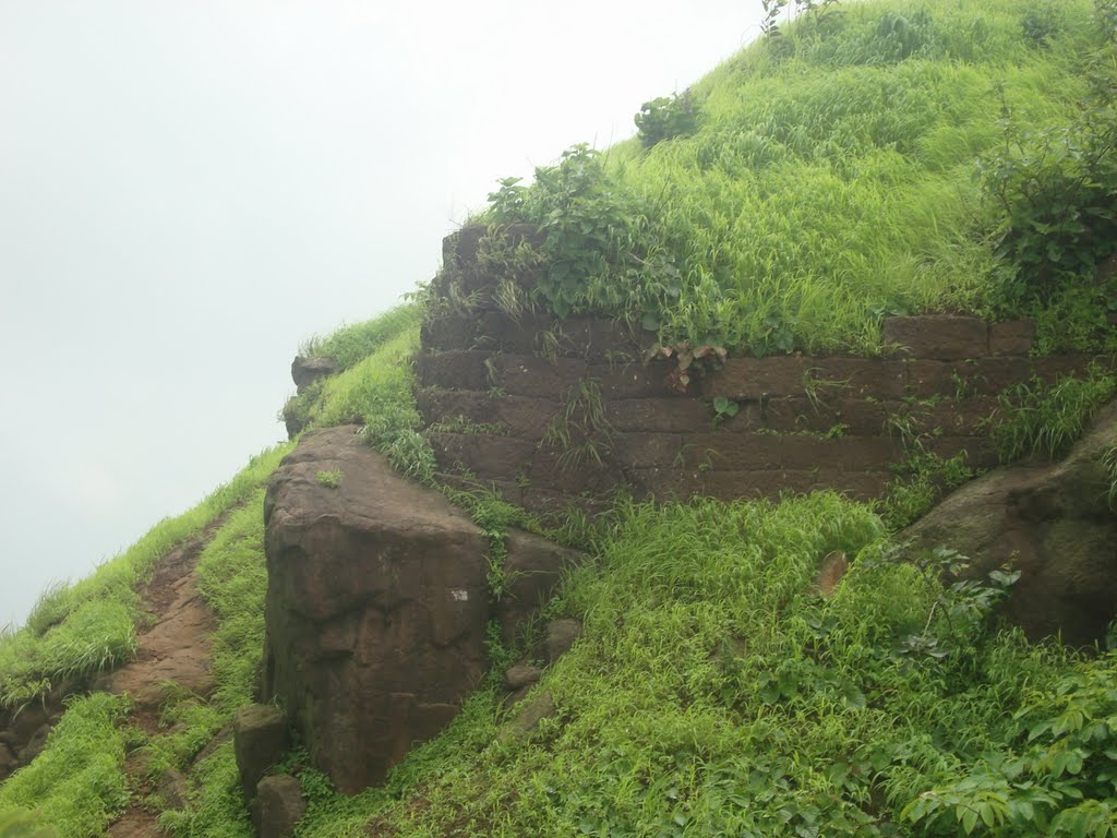 Trekking In Maharashtra: Songiri Fort a.k.a Palasdari Fort (किल्ले ...
