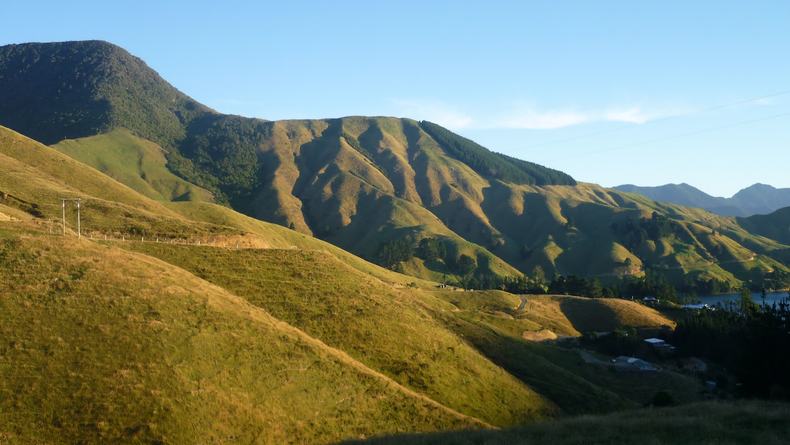 New-Zealand Adventure: Tondre des lamas à Cissy bay
