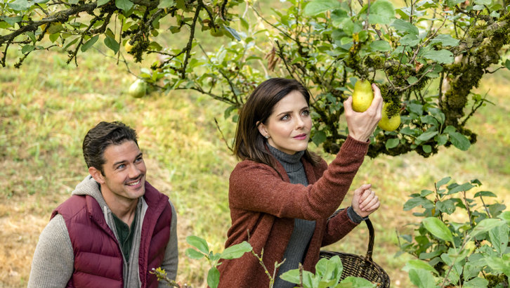 Its a Wonderful Movie - Your Guide to Family and Christmas Movies on TV ...