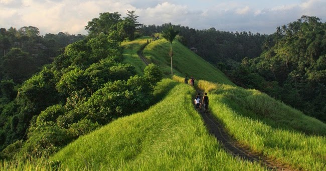 Jogging Track Ubud Bali - Touristnesia Find Nice Place In The World