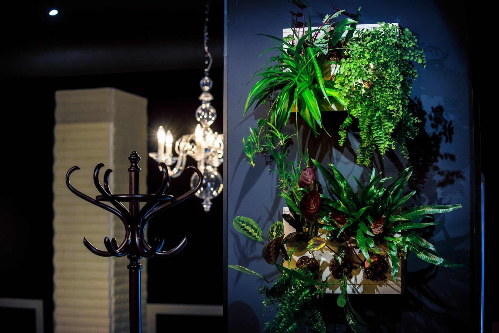 Zahrada na niti: Run sushi run!