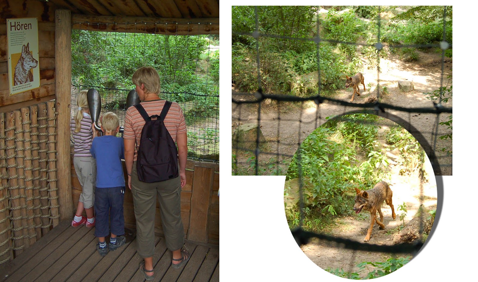 Zoo and Aquarium Design: Children's Paths: A How to Guide