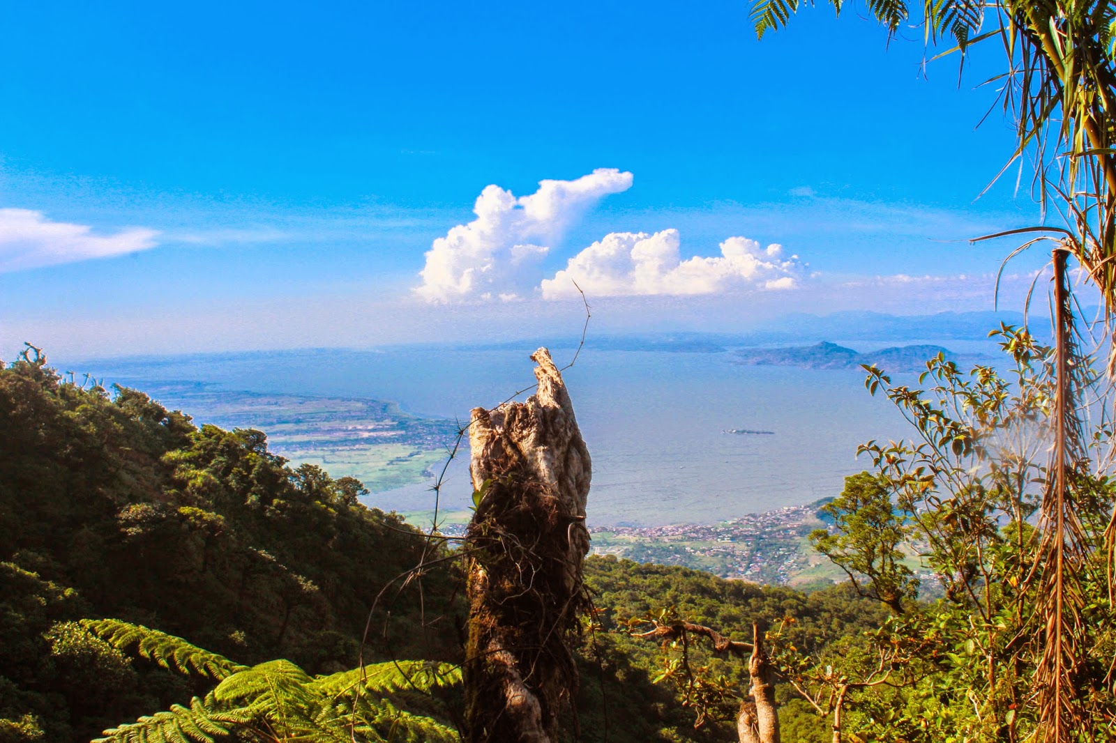 Wandering Den: Mt. Makiling