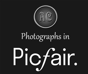 Apio | SALUD, BELLEZA Y BIENESTAR