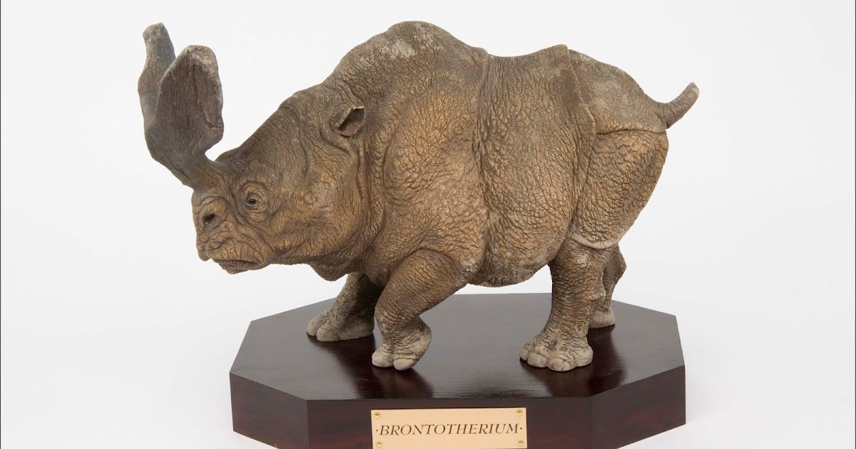 David Meng Art: Brontotherium Caricature