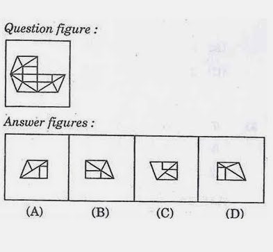 StudyMathOnline: Questions on Patterns