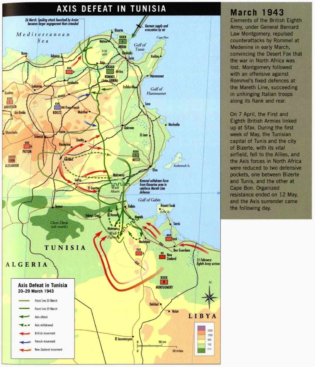 Africa – Axis and Allied : Wehrmacht in Tunisia I
