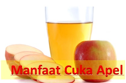 Tips Hidup Sehat dan Cantik Alami : 15 Manfaat Cuka Apel Untuk Kesehatan