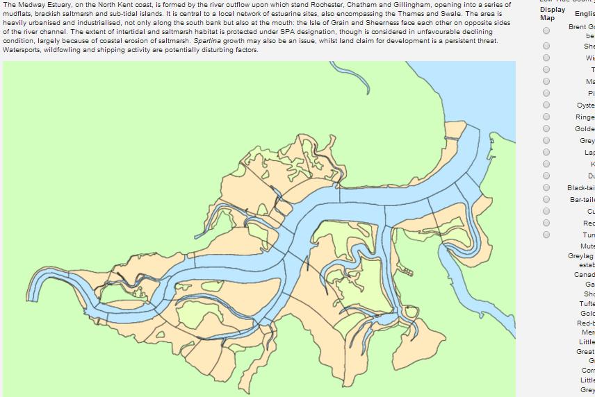 Birding the southern Medway: How to bird the Medway
