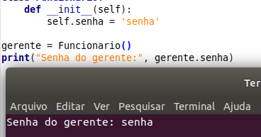 Python Progressivo: Atributos Privados - Escondendo Informações em Python