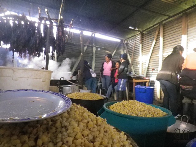 cineminga: Resguardo Indígena de Mosoco: cien años tejiendo soberanía