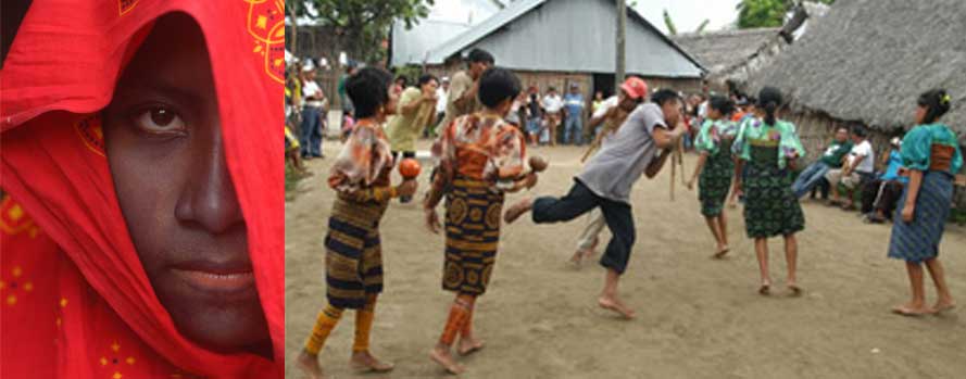 el gato naranja - noticiero poético para américa latina: el gato ...
