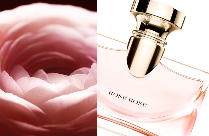 Bvlgari Splendida Rose Rose