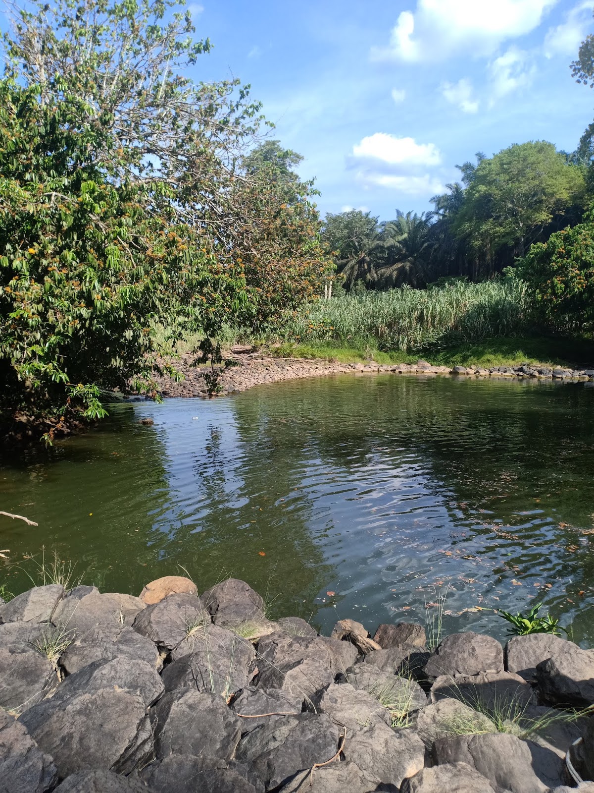 dhashachandran: COLUMNAR BASALT BALUNG COCOS, TAWAU