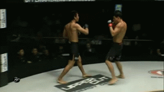 Leg Kick TKO: This Week in Dumb MMA Stuff