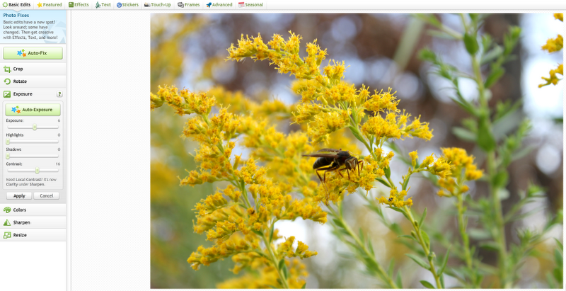 Live. Love. Craft.: Tutorial - Basic Editing Using Picnik