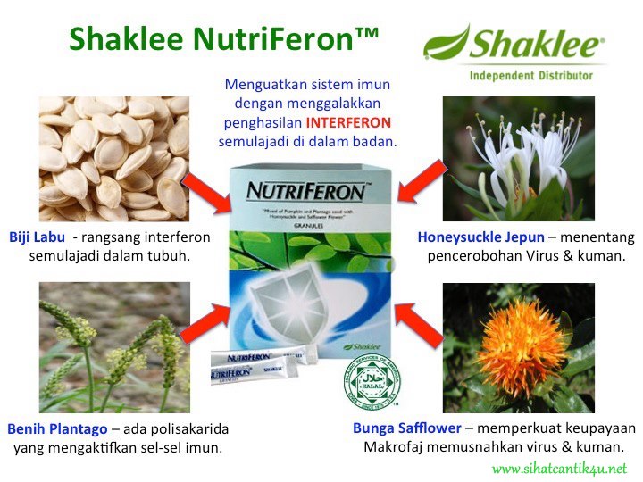 Aisyah Assiddiqah Sariff: Nutriferon : Immune Booster TERBAIK!