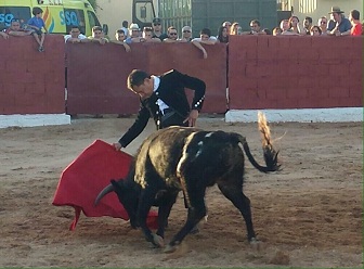 DETOROS Y MAS: Chibolo de Lima triunfa en su debut español