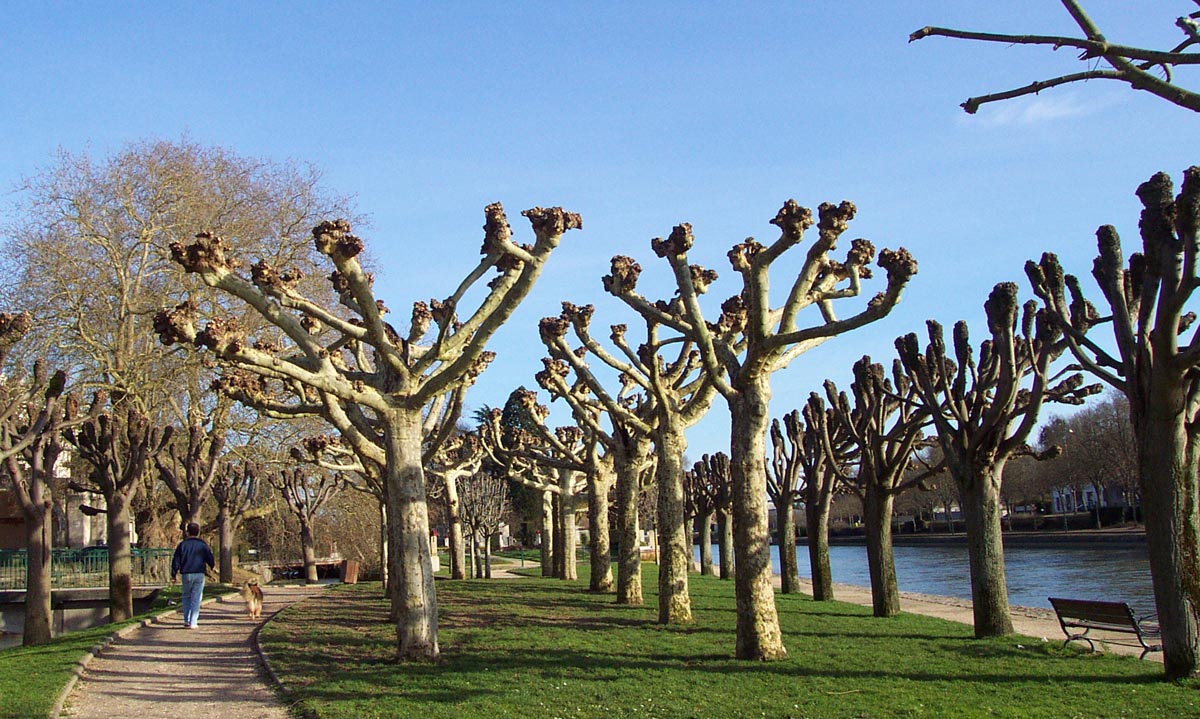 Living the life in Saint-Aignan: Vierzon — le pays des cinq rivières