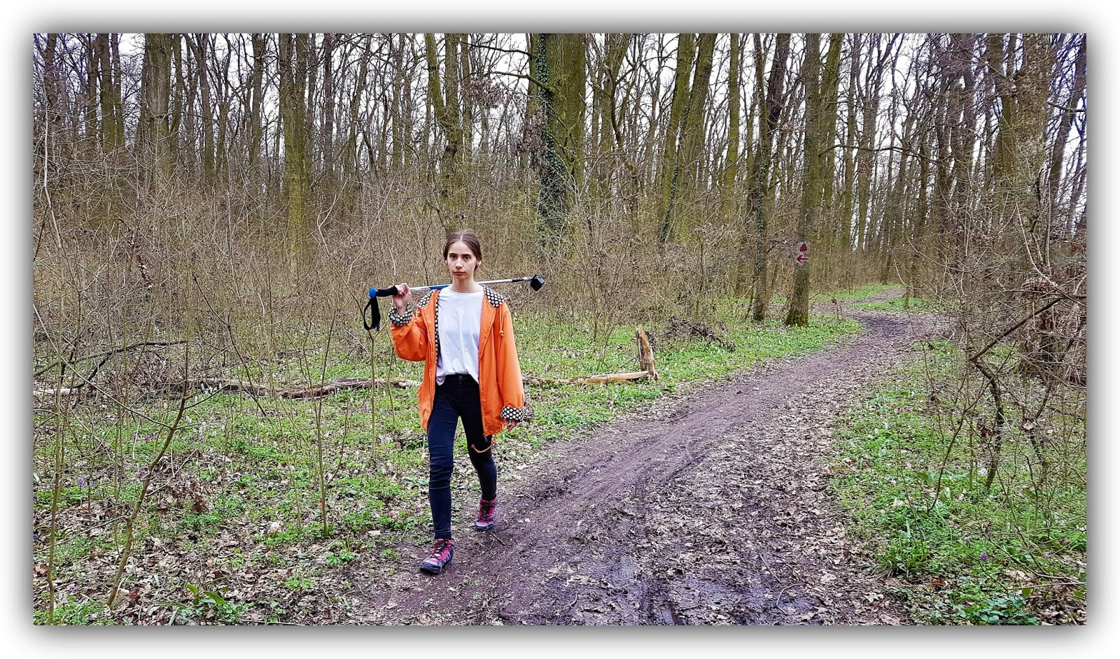 O plimbare prin padure