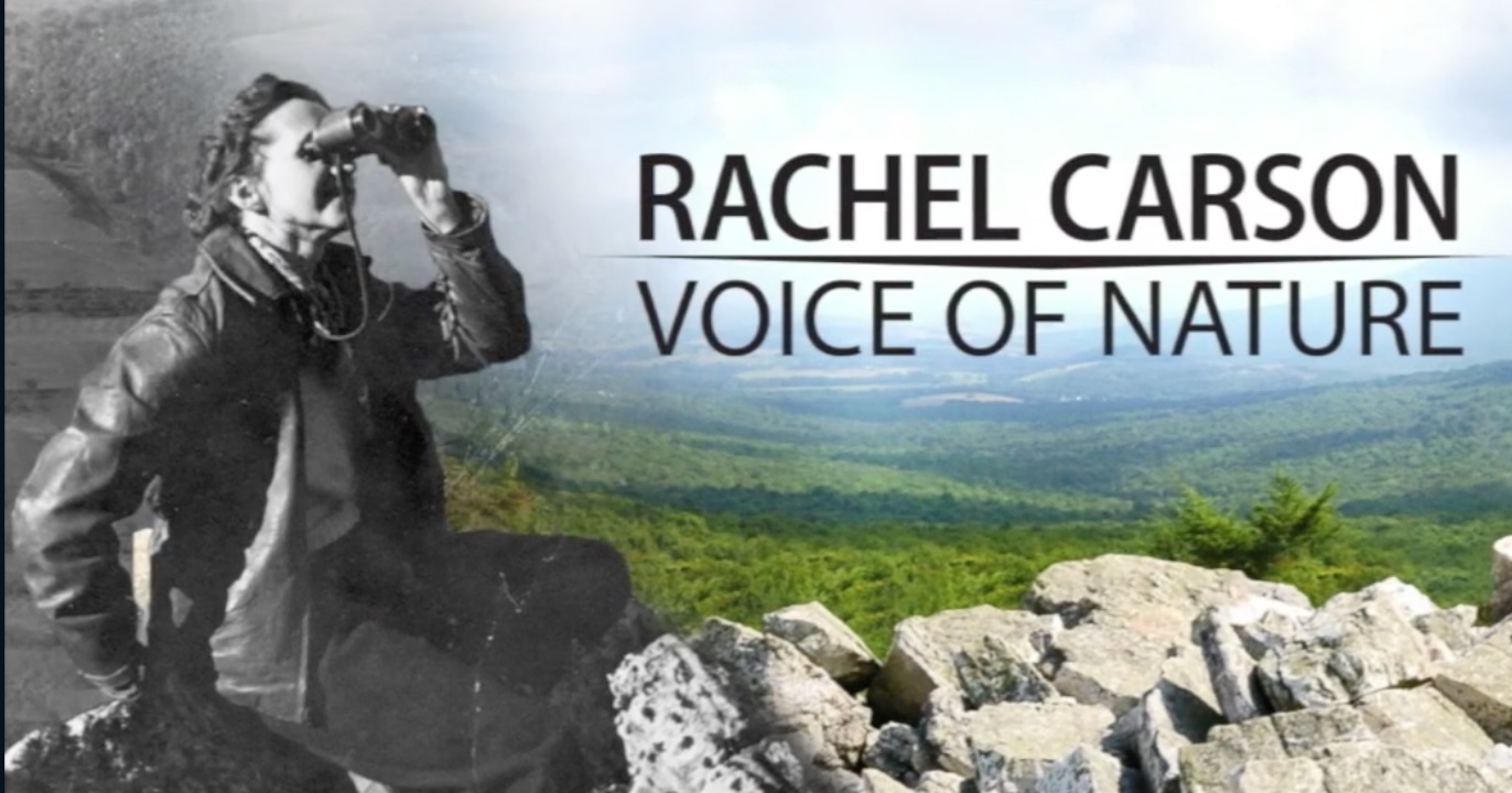 PA Environment Digest Blog: New WITF Conservation Heritage Documentary ...