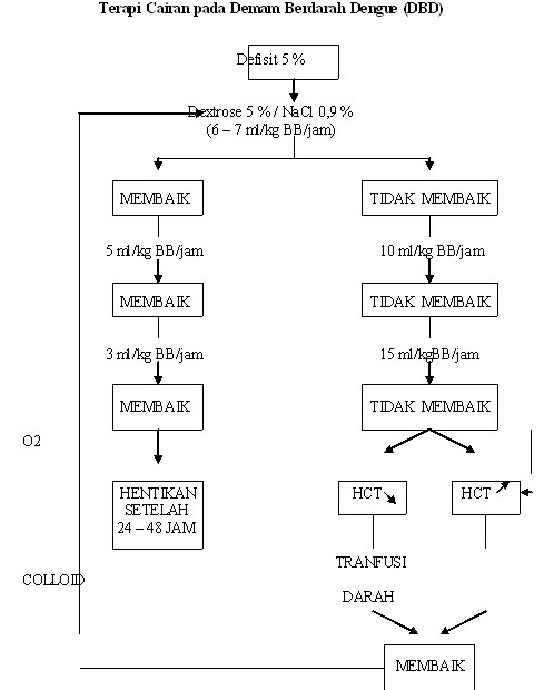 PENATALAKSANAAN DENGUE SHOCK SYNDROME (DSS) | Penatalaksanaan Medik