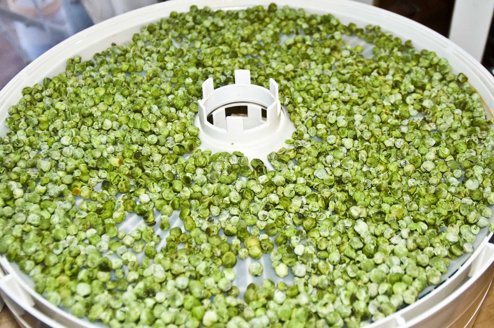 Dehydrating Way Beyond Jerky: Dehydrating Frozen Veggies