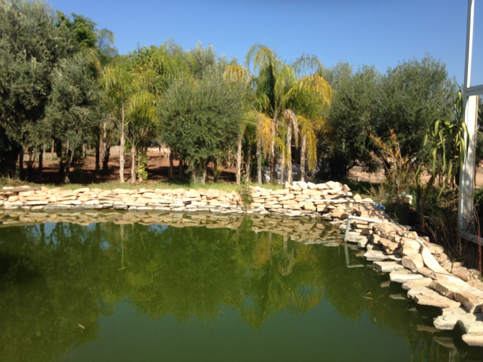 A Dad and his Supertramps: Camping Just Outside Marrakech. Ourika Camp.