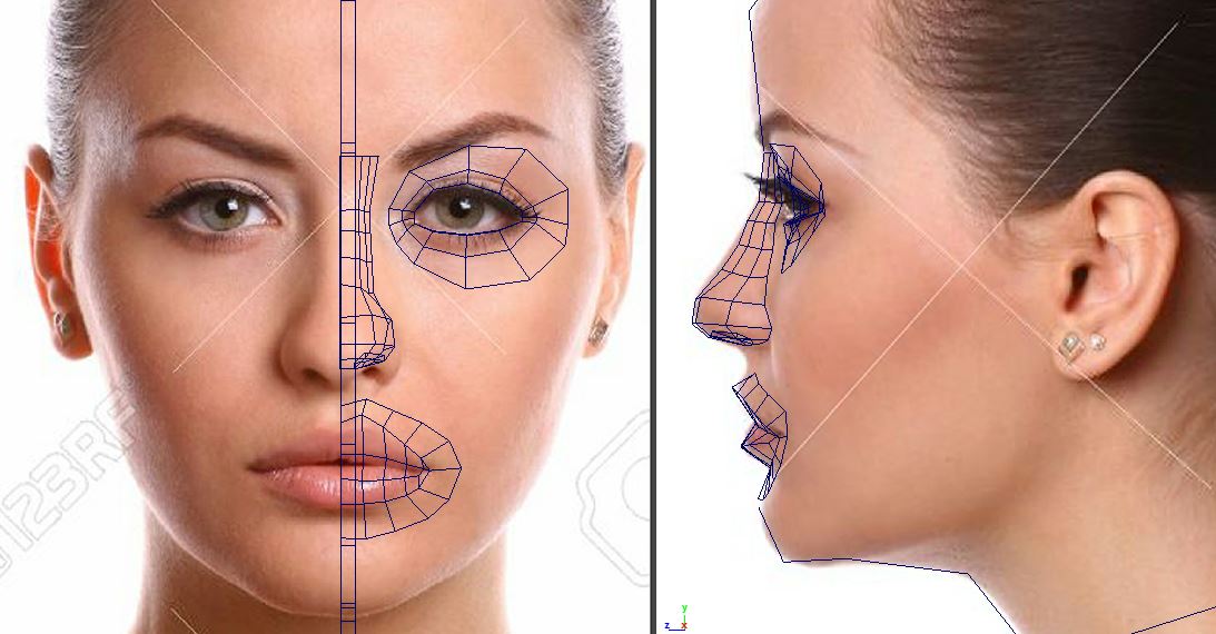 Digital Animation: Face Modelling Process
