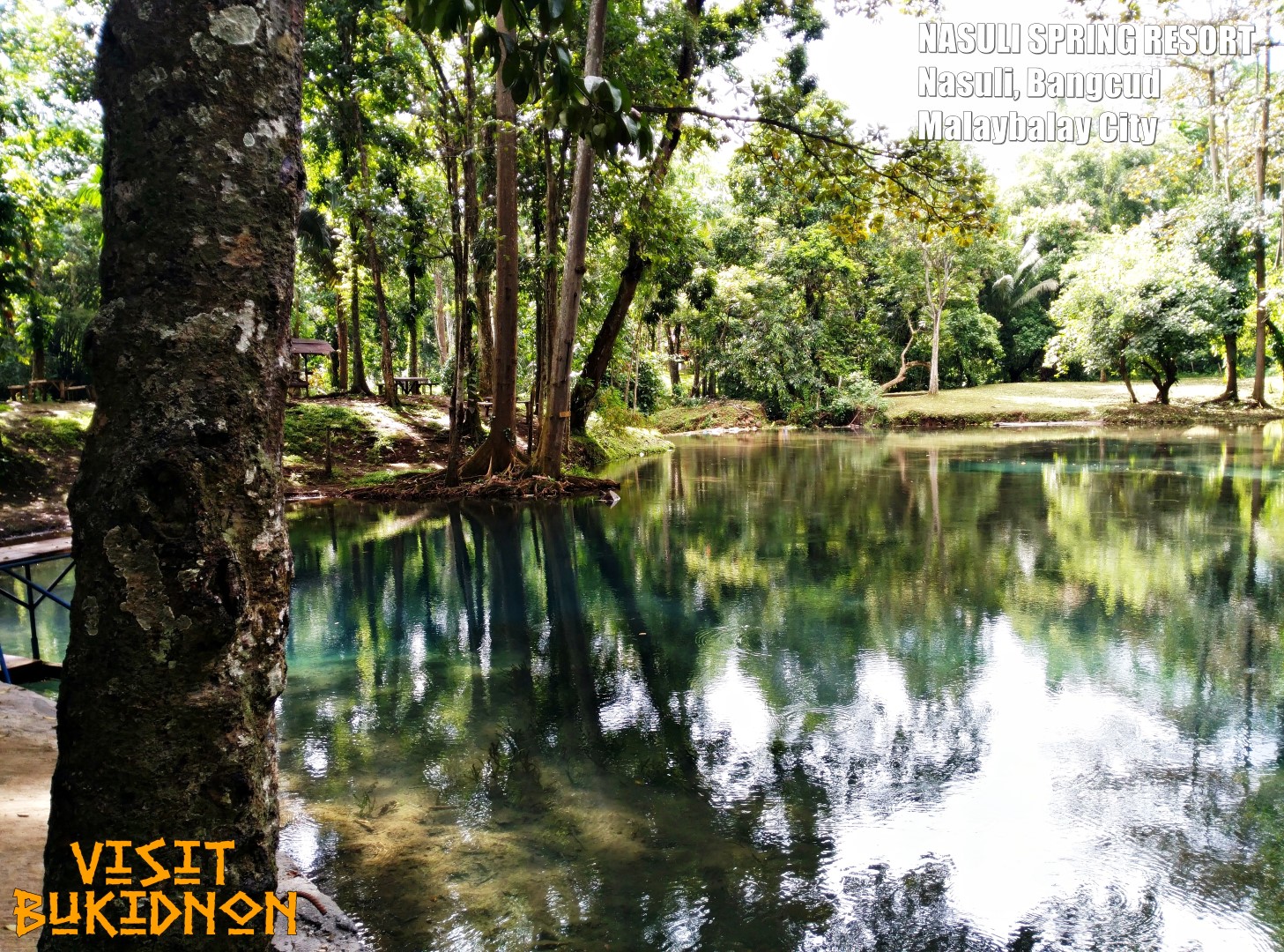 BUKIDNON UNLIMITED: NASULI SPRING RESORT