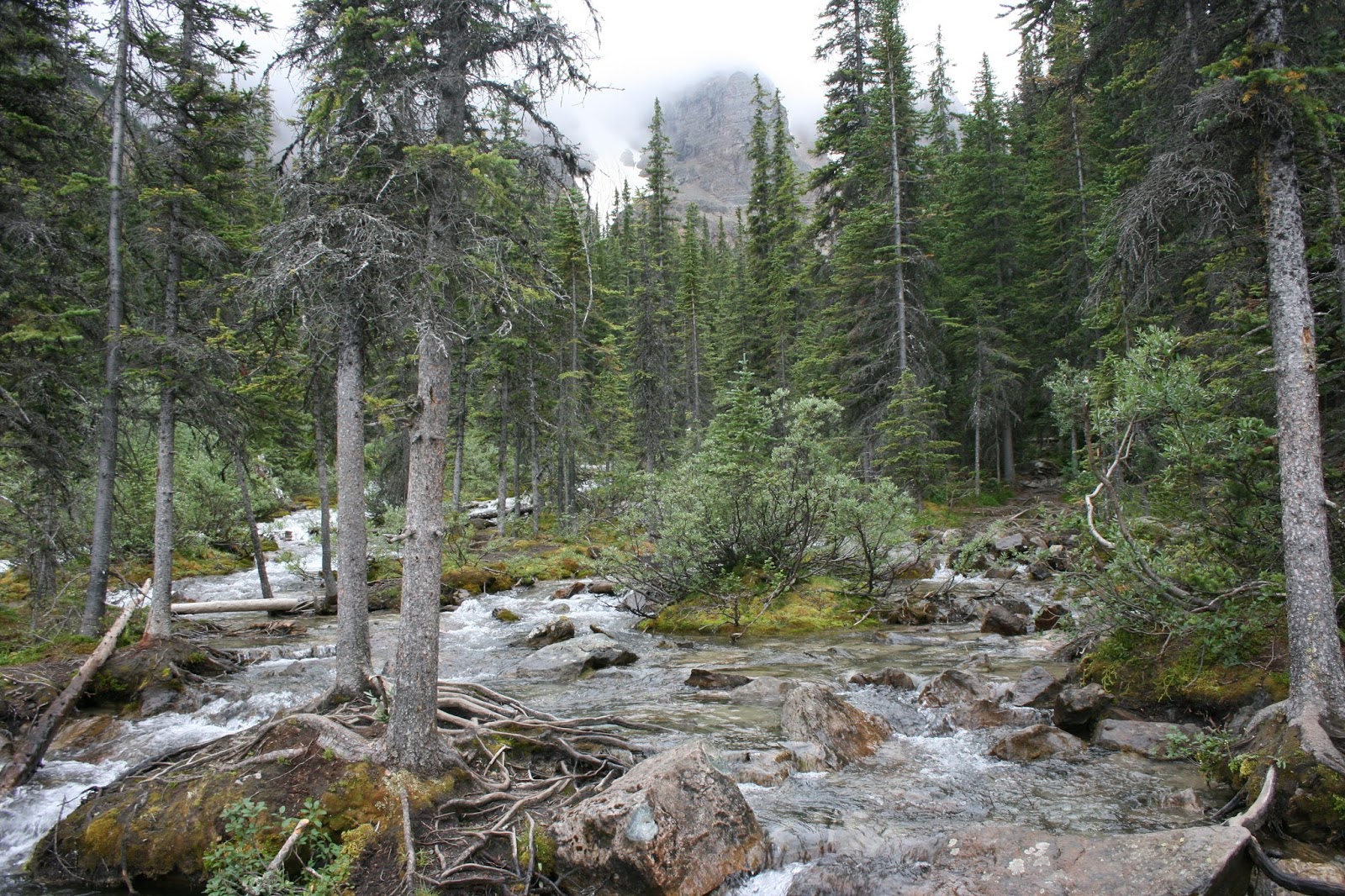 The Sully Adventures