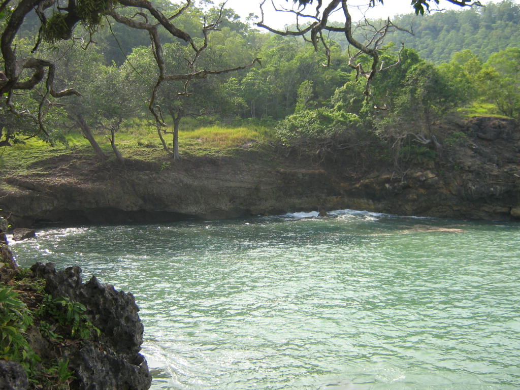 TELUK PACITAN: GALERI