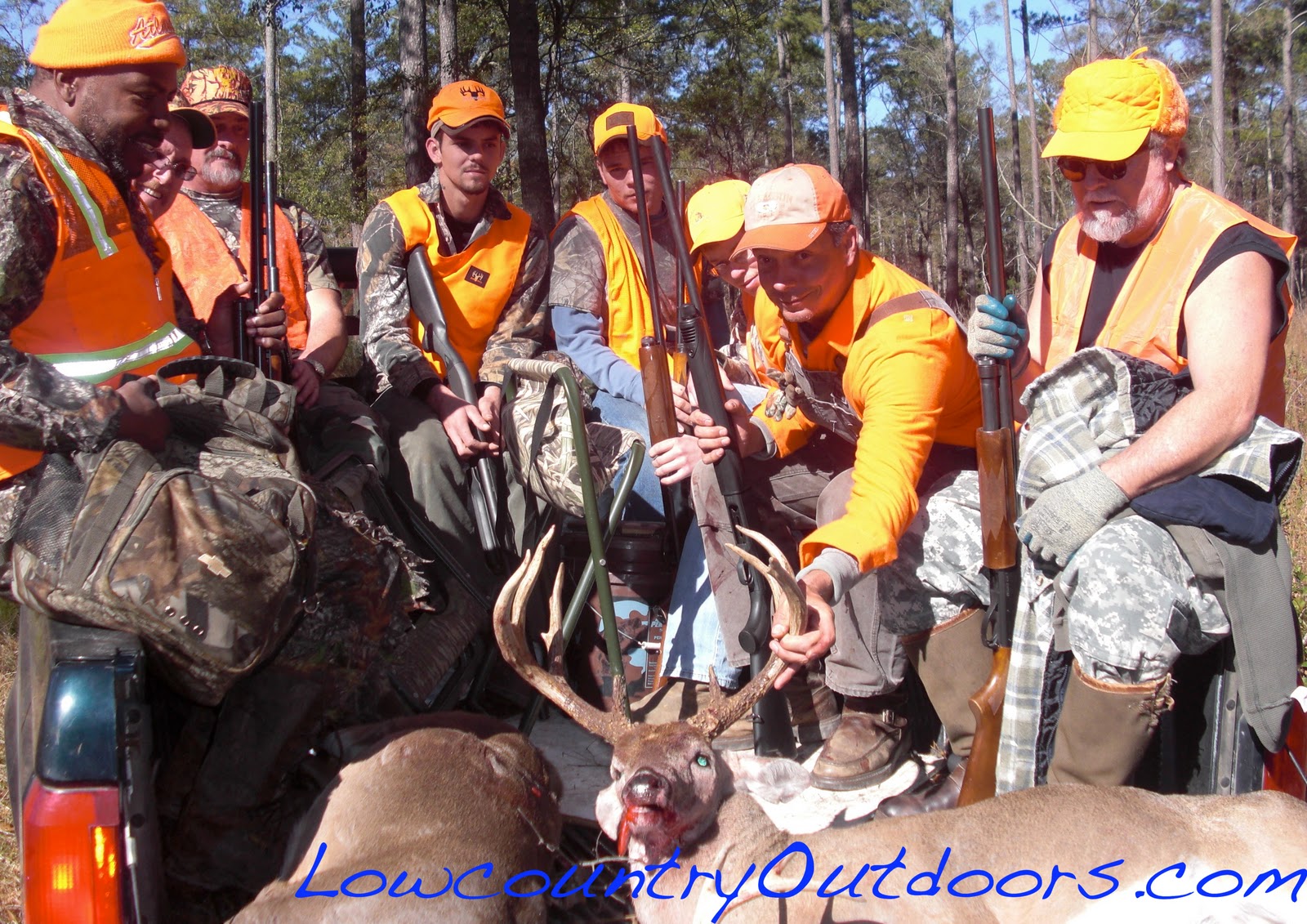 Lowcountry outdoors: Thanksgiving Driven Deer Hunt - 2011
