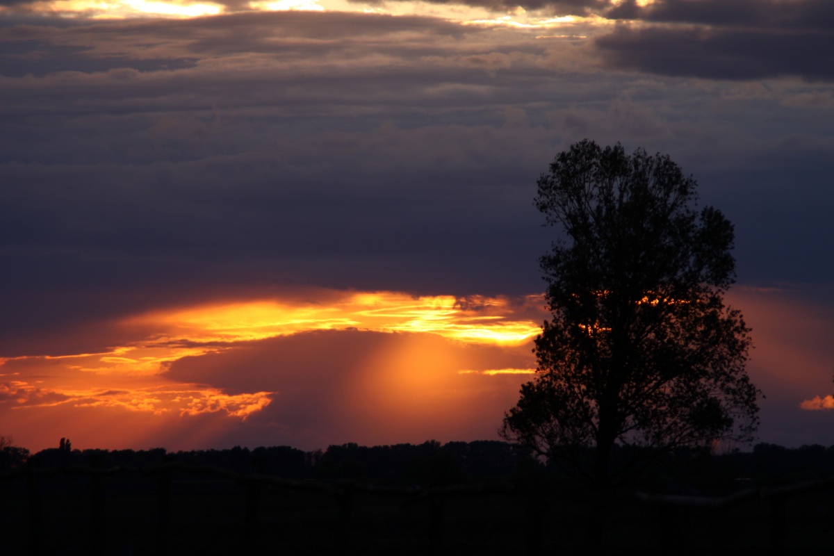 A TI SEÑOR DEL UNIVERSO: TARDE APASIBLE!