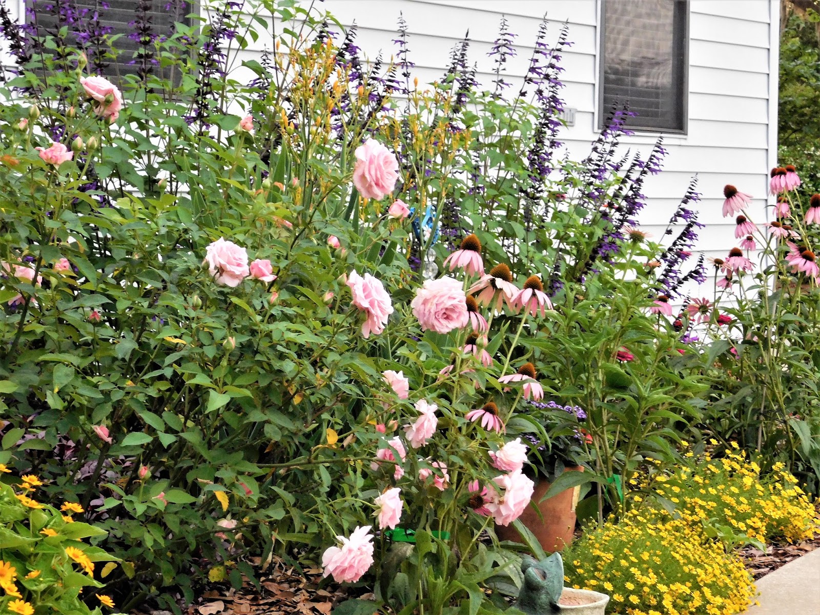 Garden On Fourth Street: Central Florida Spring Garden
