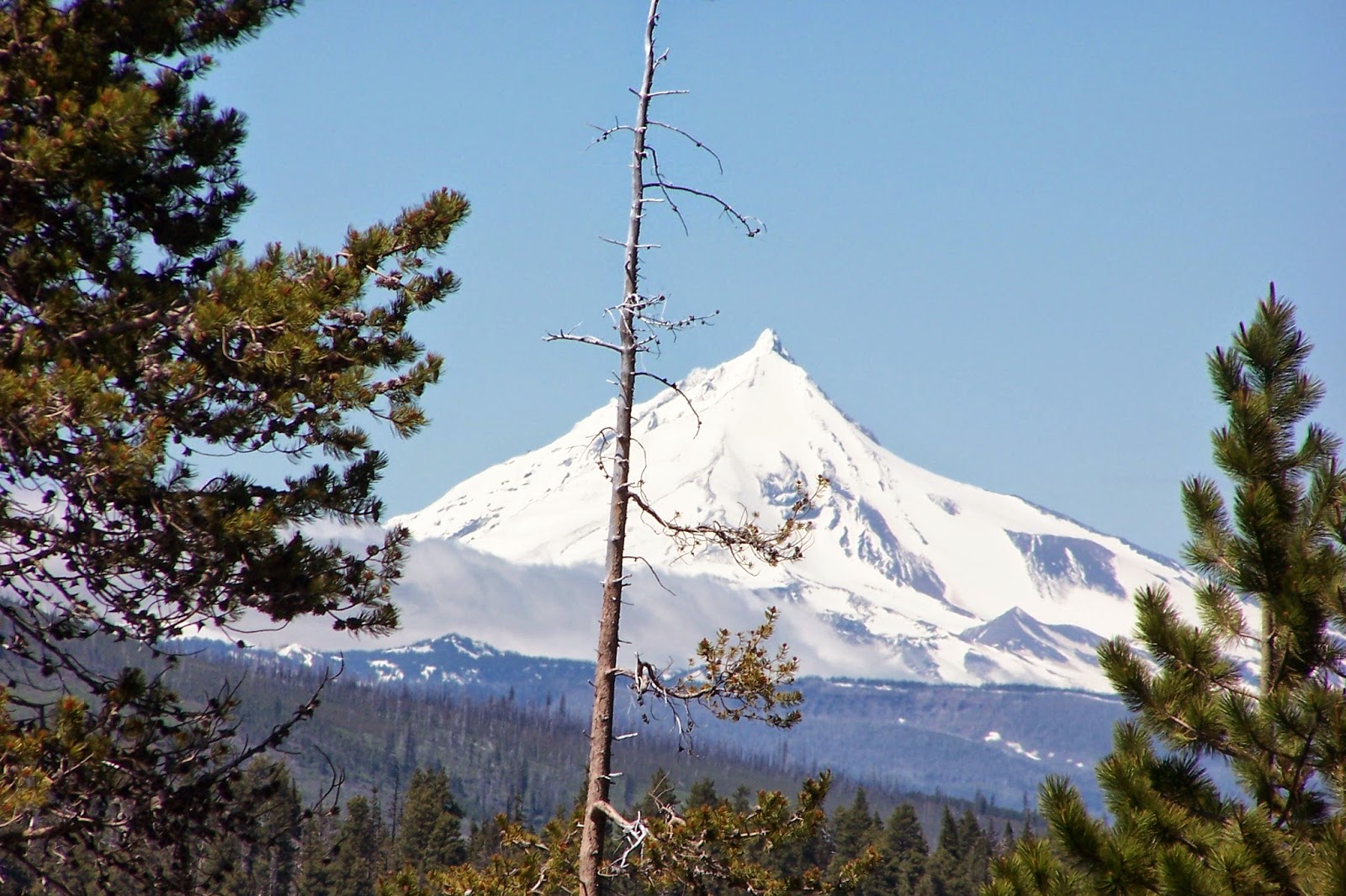 Oregon Cactus Blog: Snow-capped Peaks of the Oregon Cascades