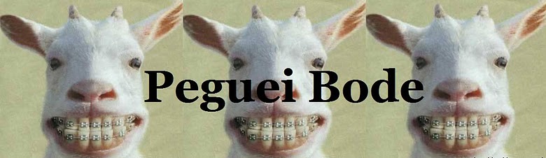 www.vamosde.com.br: VAMOS DE...Peguei Bode