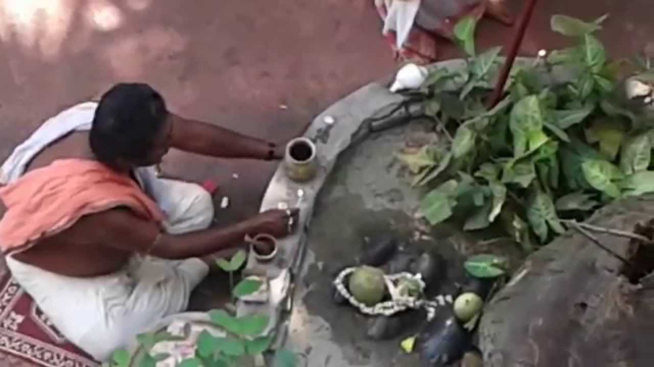 Gajan: Folk Festival of West Bengal: Neel Puja