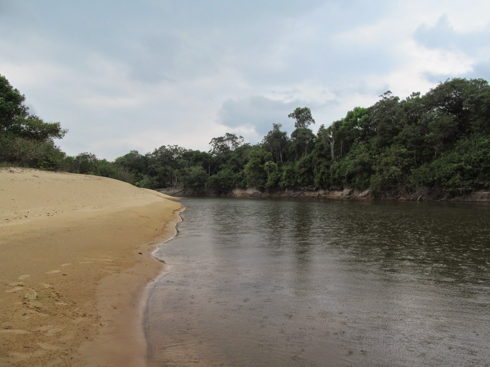 Espacio de Pesca: Pesca payara en el Rio Yucao y Manacacias, Puerto ...