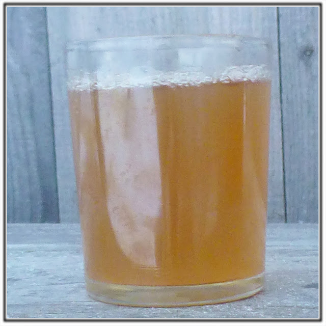 Gör egen kombucha! Scoby svamp till salu, skickas med vanlig post på 1 ...