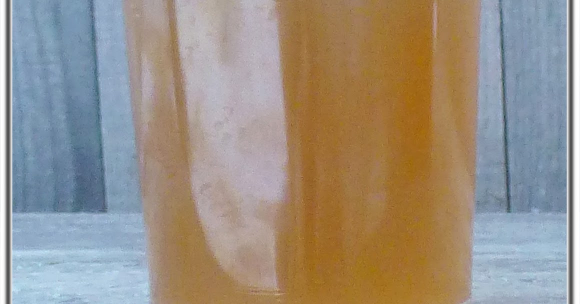 Gör egen kombucha! Scoby svamp till salu, skickas med vanlig post på 1 ...
