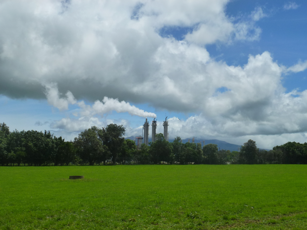 New Zealand's Low-Emission Future: August 2016