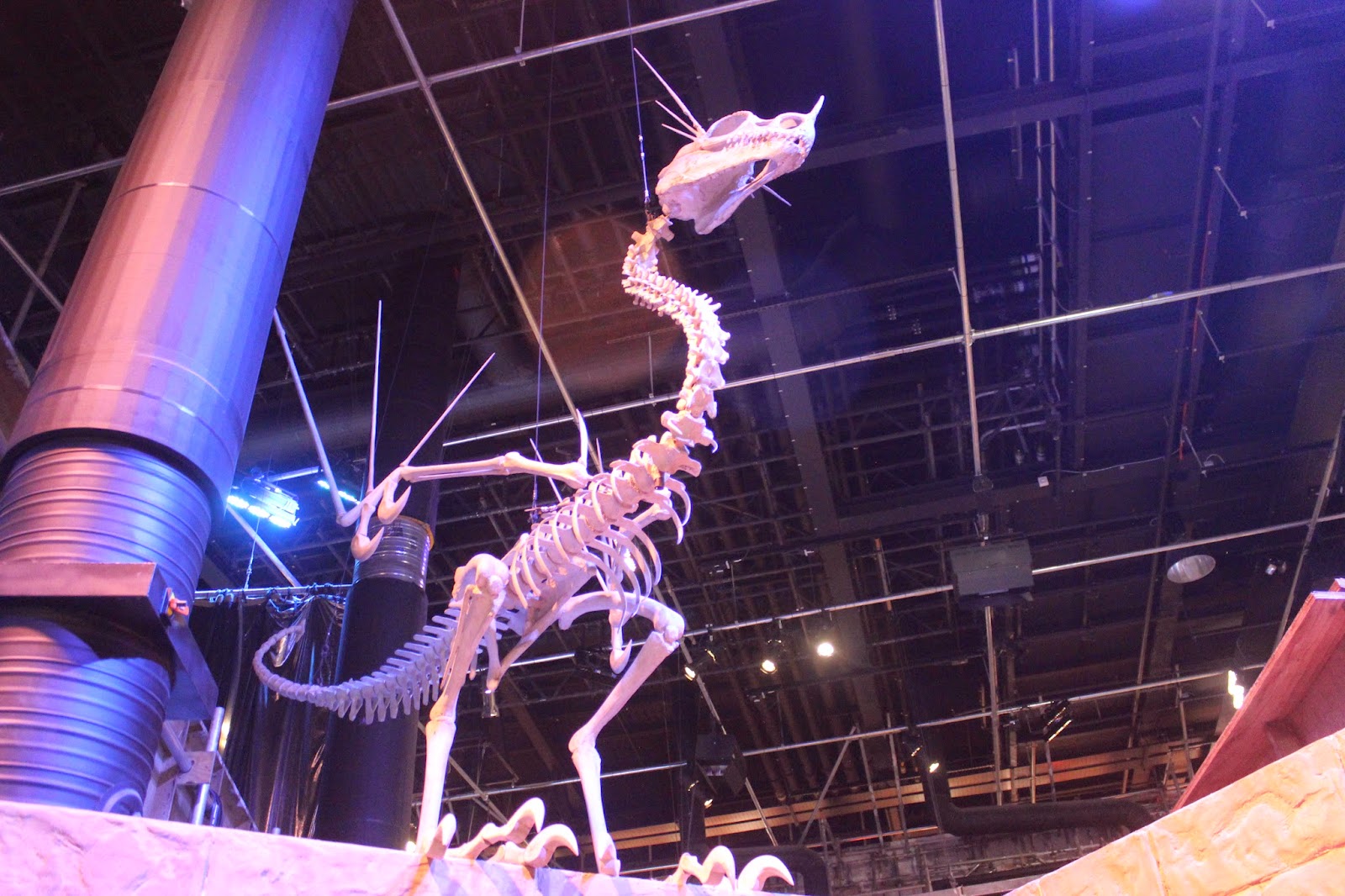 The Harry Potter Studio Tour | A Certain Adventure