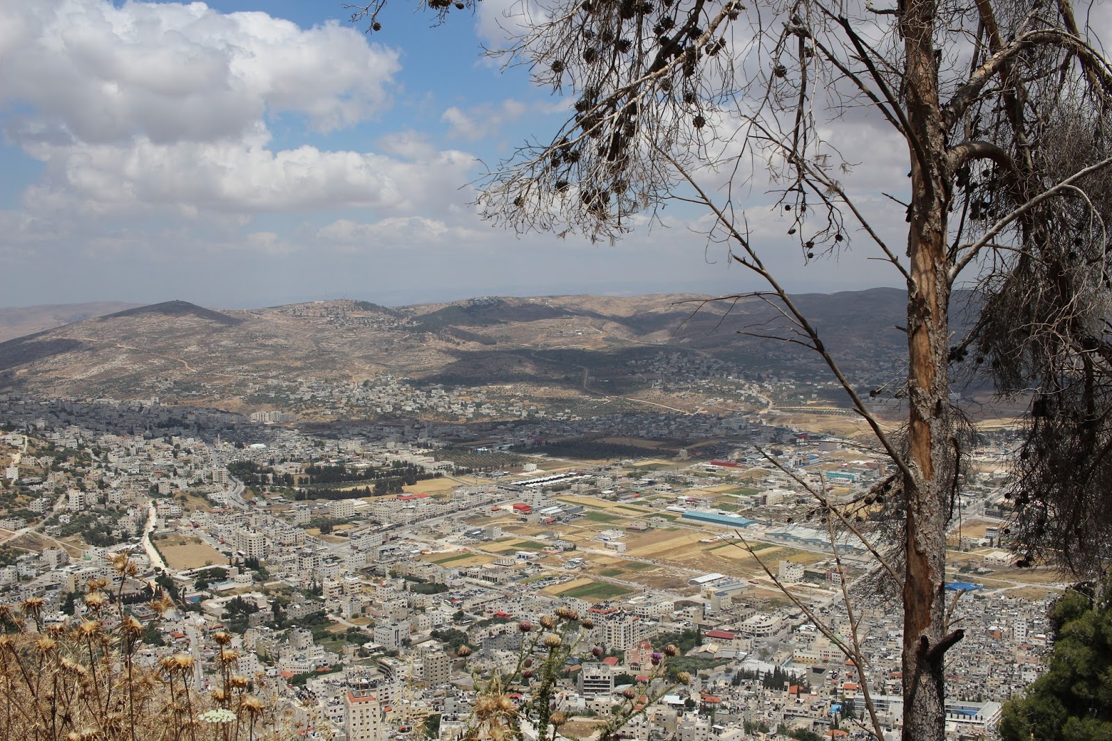 The View From My Chair: Israel 2016, Day 21