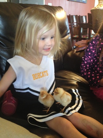 The Colquett 5: Baby Chicks, MeMe's Birthday, Wild Sophie