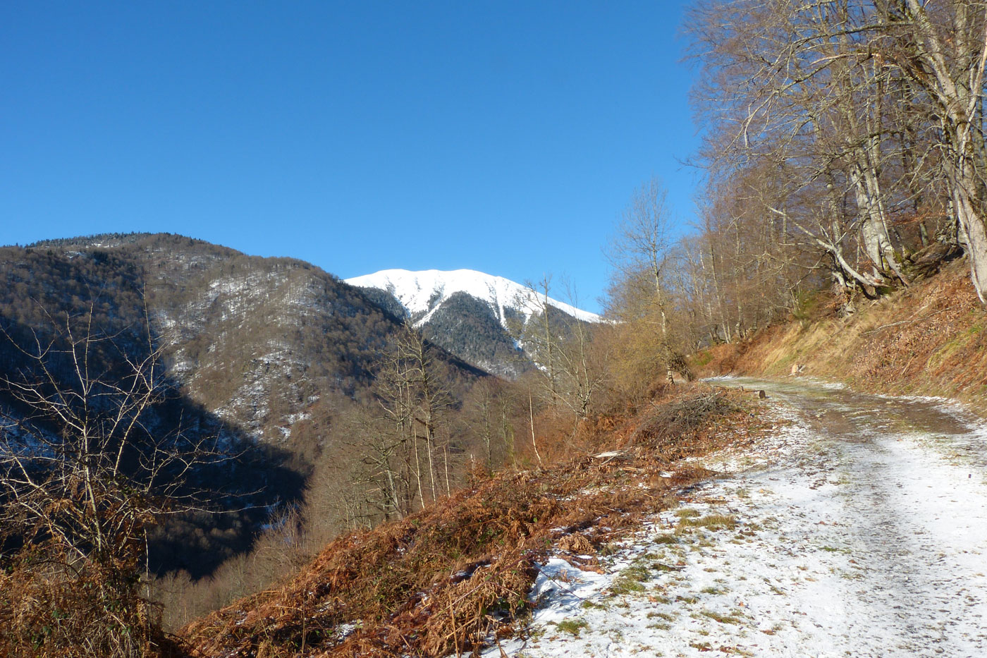 Randonnées et photos dans les Pyrénées: Pic de Douly 1630 m