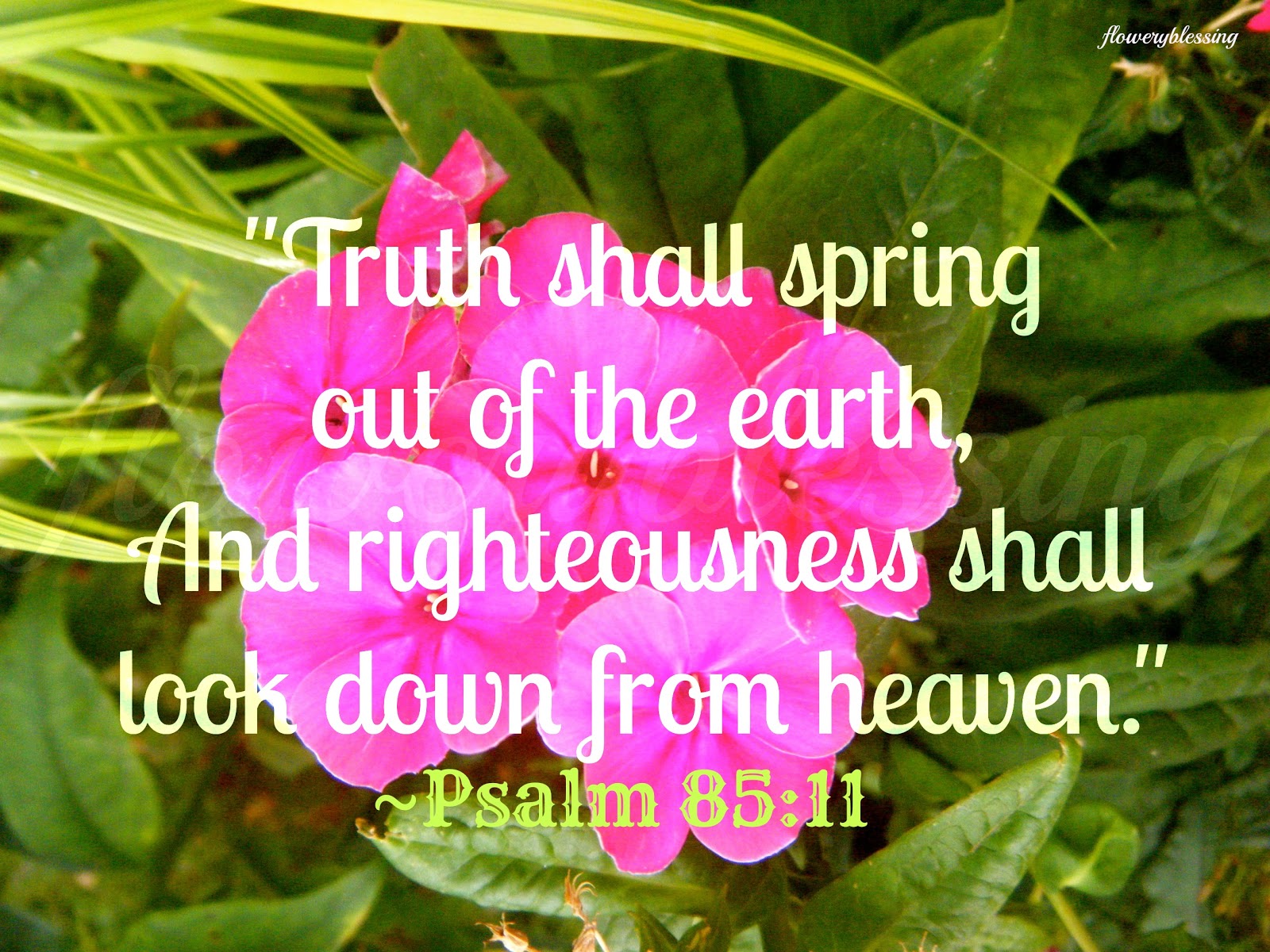 Flowery Blessing Truth Shall Spring Out Of The Earth And