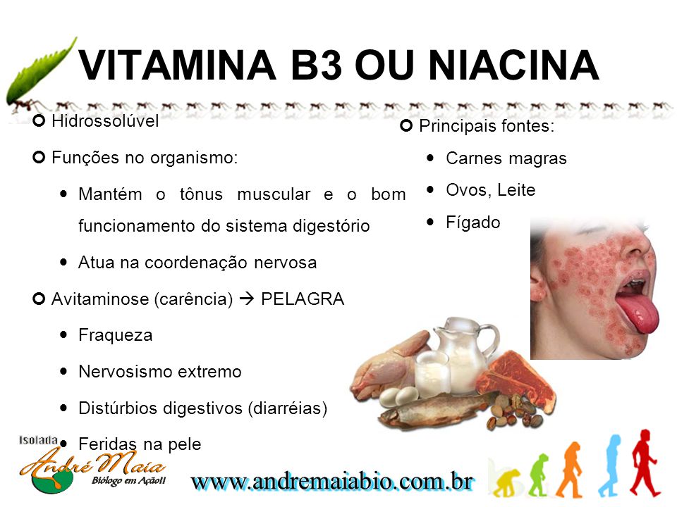 Meu bb chegou: Vitamina B3
