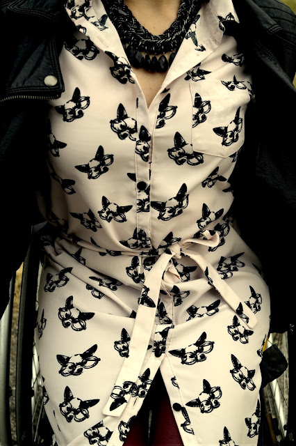 Moda con ruedas: Dogi style